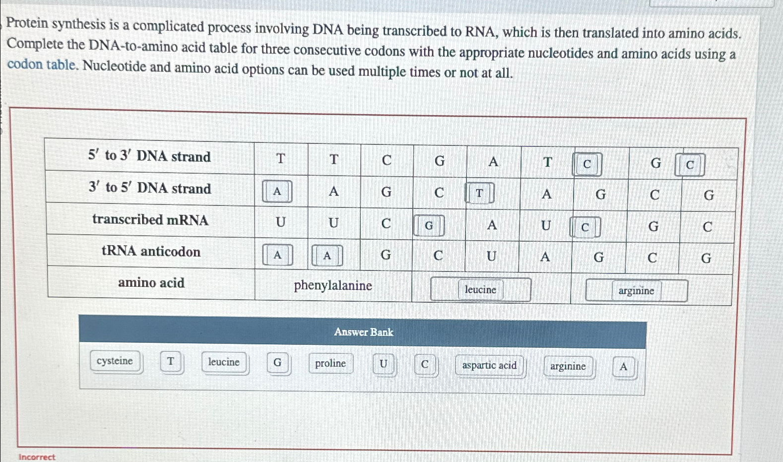 Solved Protein synthesis is a complicated process involving | Chegg.com