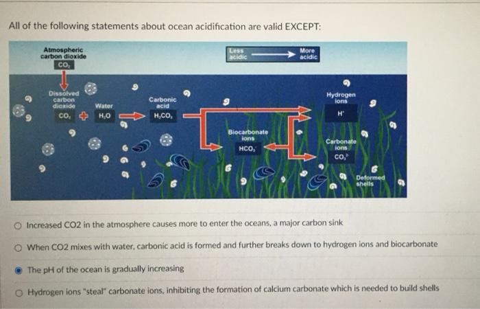 Solved Rabbits consume their own "pre-feces," or cecotropes. | Chegg.com