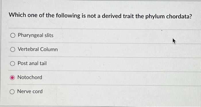Solved Which one of the following is not a derived trait the | Chegg.com