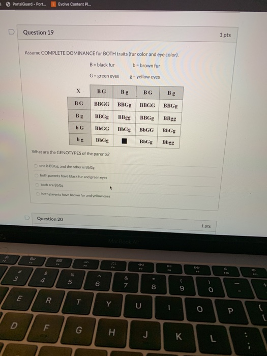 Solved PortalGuard - Port. Evolve Content PL. Question 19 1 | Chegg.com