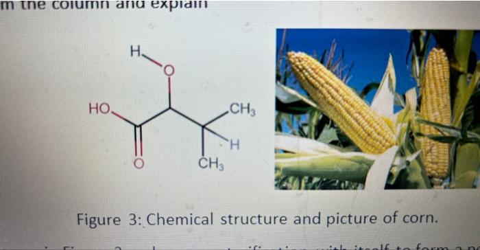 Solved Figure 3: Chemical structure and picture of corn. | Chegg.com