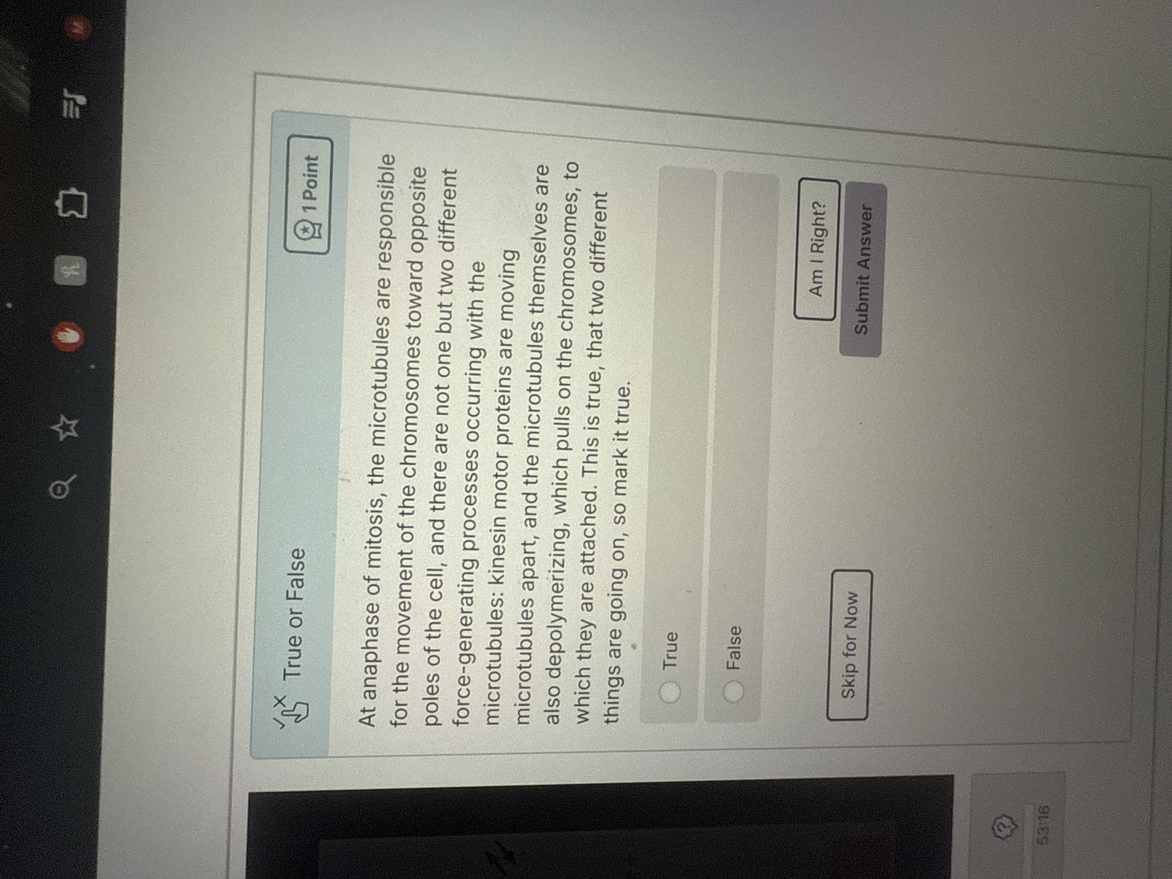 Solved At anaphase of mitosis, the microtubules are | Chegg.com