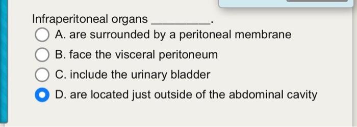 Solved Infraperitoneal organs A. are surrounded by a | Chegg.com