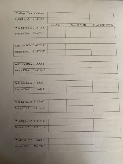 Solved Mutation Problems Theory A mutation is a change in | Chegg.com