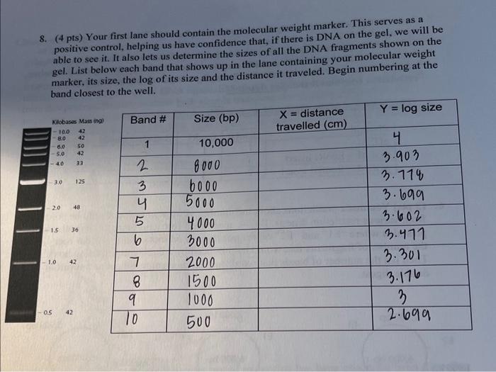 8. (4 pts) Your first lane should contain the | Chegg.com