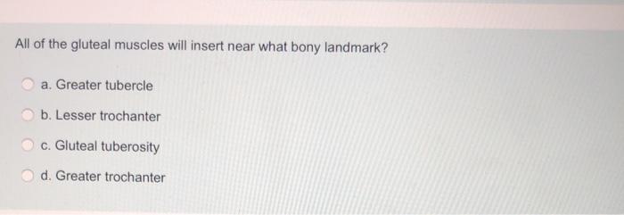 Solved All of the gluteal muscles will insert near what bony | Chegg.com