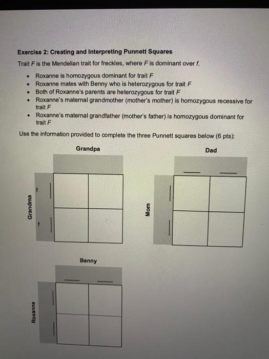 Solved . . Exercise 2: Creating and interpreting Punnett | Chegg.com