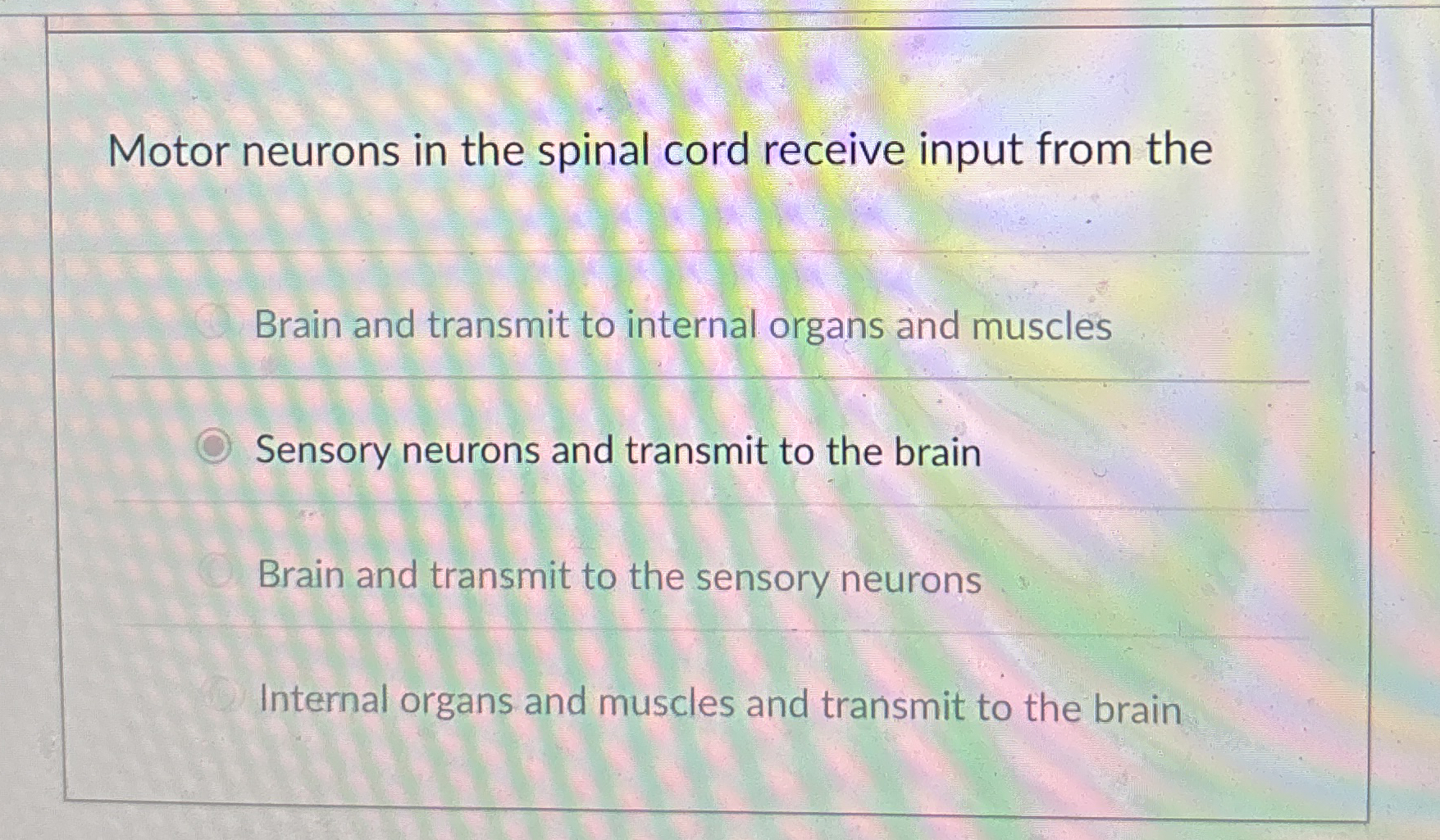 Solved Motor neurons in the spinal cord receive input from | Chegg.com
