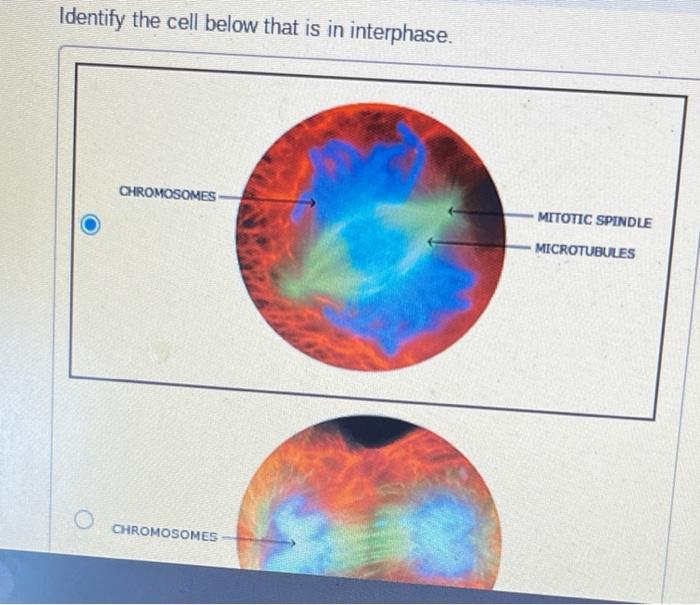 Solved Identify the cell below that is in | Chegg.com