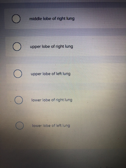 Solved Which structure is highlighted? Multiple Choice Prey | Chegg.com