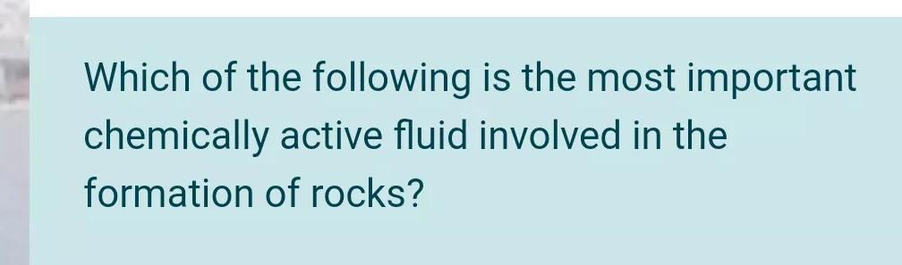 Solved Which of the following is the most important | Chegg.com