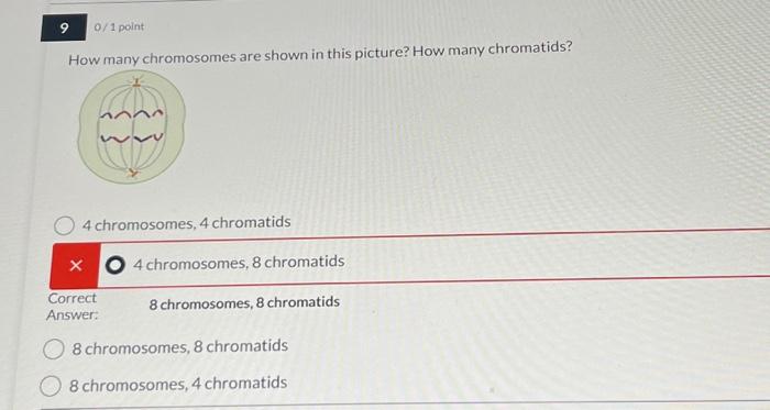 Solved How many chromosomes are shown in this picture? How | Chegg.com
