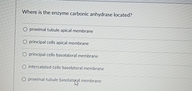 Solved Where is the enzyme carbonic anhydrase | Chegg.com