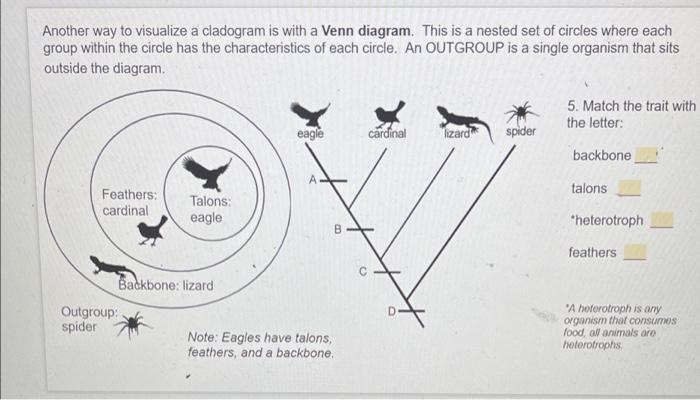 Solved Another way to visualize a cladogram is with a Venn | Chegg.com