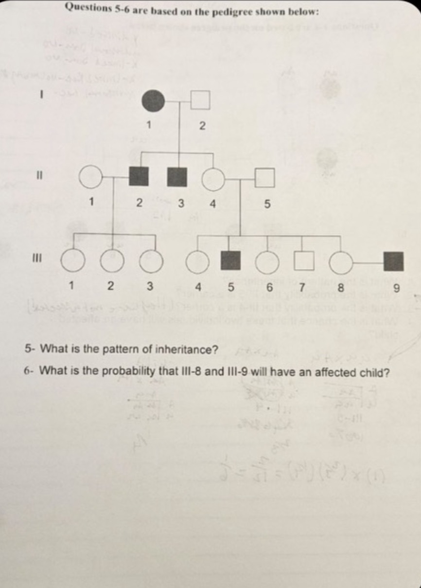 Solved Questions 5-6 ﻿are based on the pedigree shown | Chegg.com