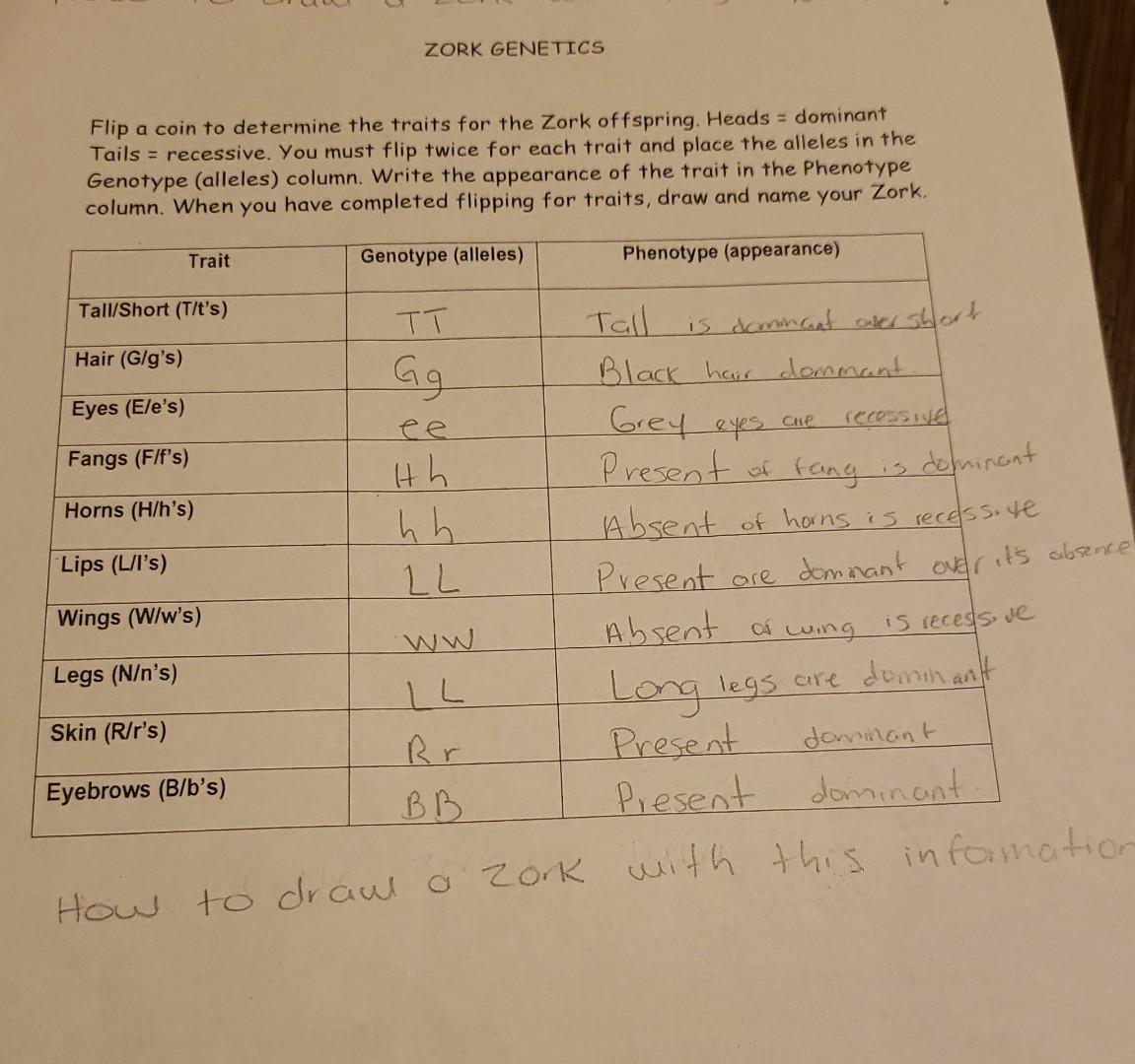 Solved ZORK GENETICS Flip a coin to determine the traits for | Chegg.com