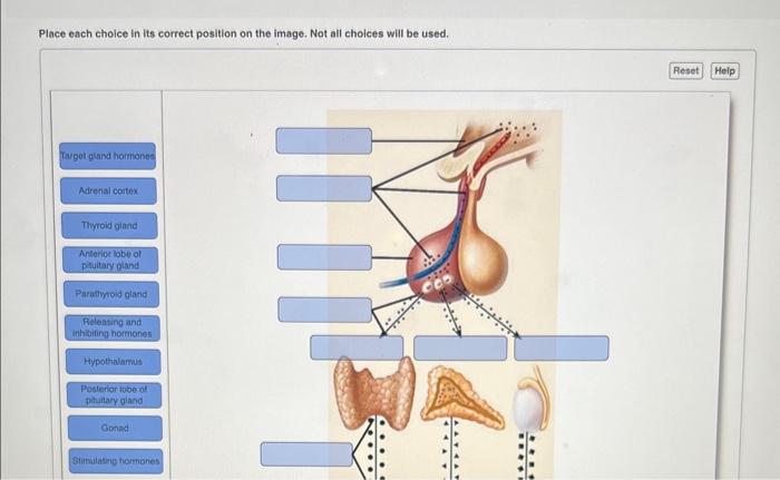 Solved Place each choice in its correct position on the | Chegg.com