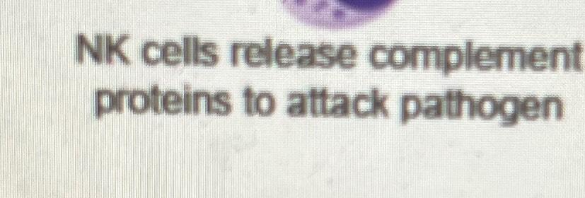 Solved "NK cells release complement proteins to attack | Chegg.com