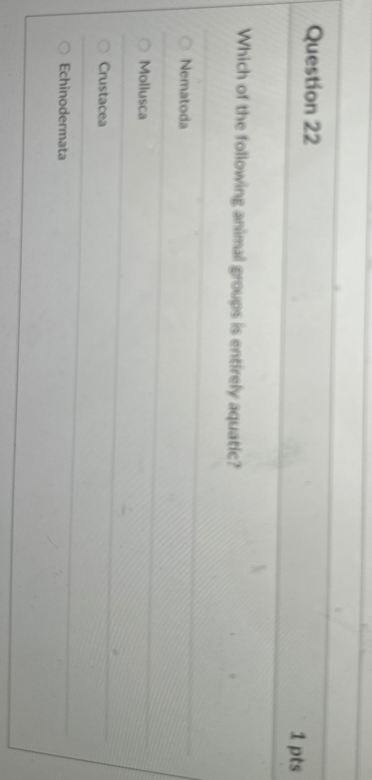 Solved Question 221 ptsWhich of the following animal groups | Chegg.com Solved Question 221 ptsWhich of the following animal groups | Chegg.com