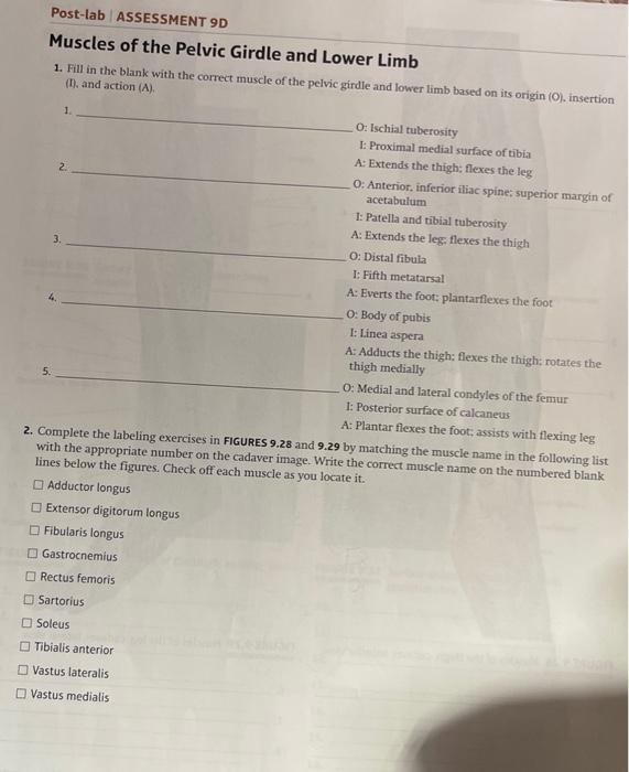 Post-lab ASSESSMENT 9C Muscles That Move the Pectoral | Chegg.com