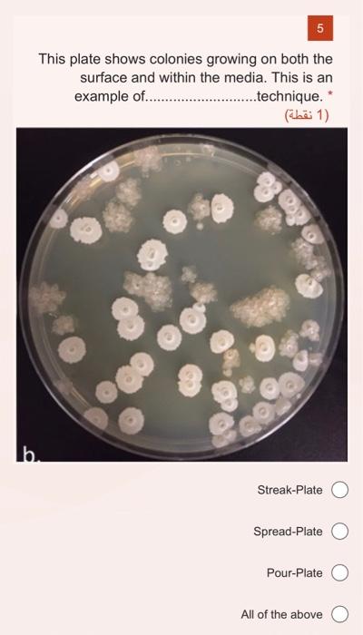Solved This plate shows colonies growing on both the surface | Chegg.com
