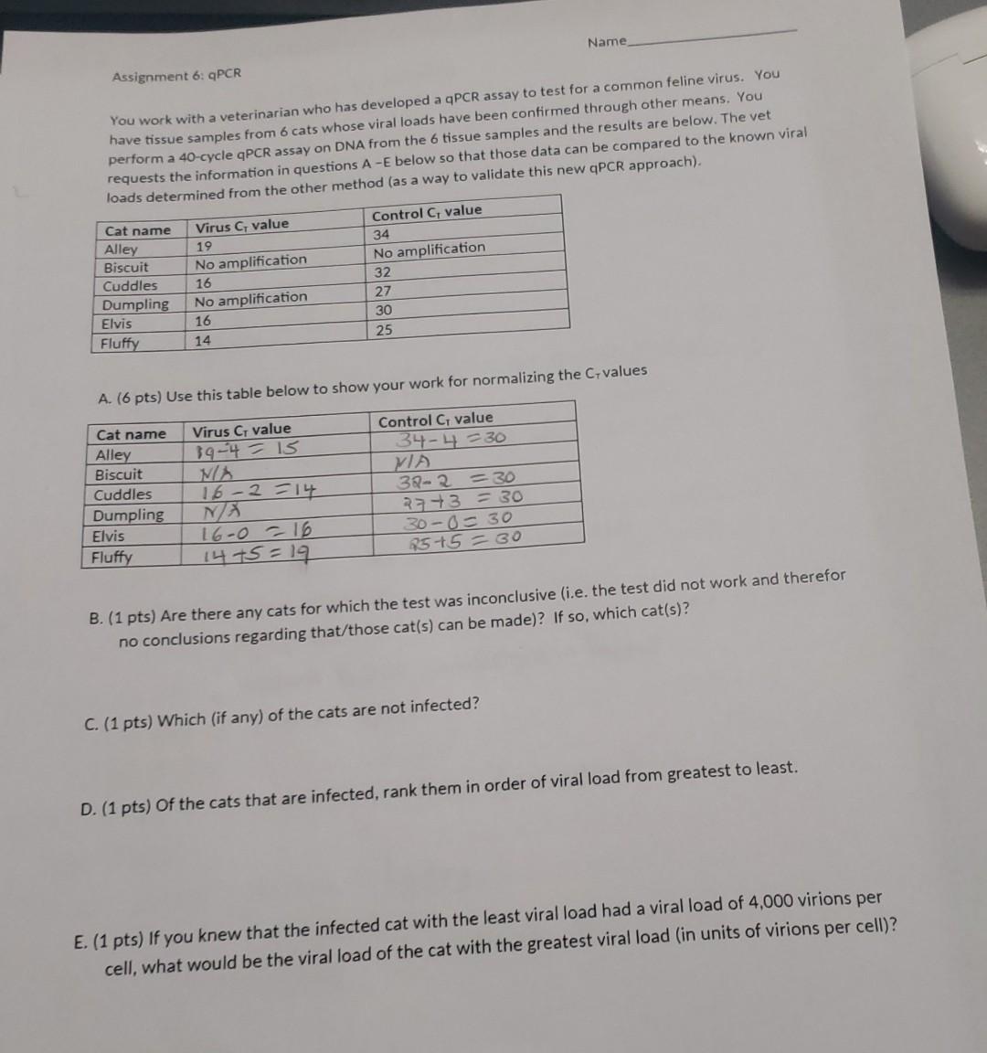 You work with a veterinarian who has developed a qPCR | Chegg.com