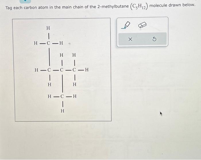 Solved Tag each carbon atom in the main chain of the | Chegg.com
