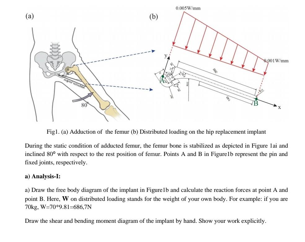 Solved (a) (b Fig1. (a) Adduction of the femur (b) | Chegg.com