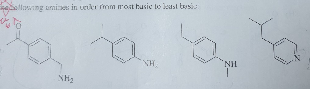 Solved rank the following amines in order from most basic to | Chegg.com