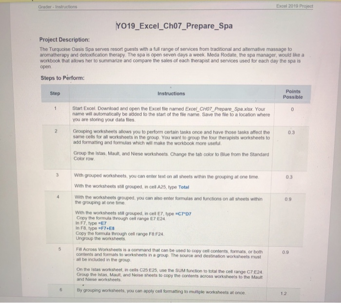 Grader - Instructions Excel 2019 Project | Chegg.com