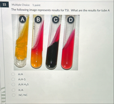 Solved 15Multiple Choice1 ﻿pointThe following image | Chegg.com
