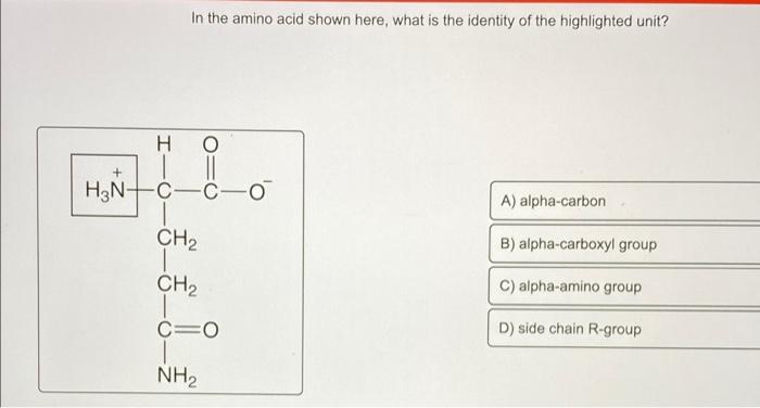 Solved In the amino acid shown here, what is the identity of | Chegg.com
