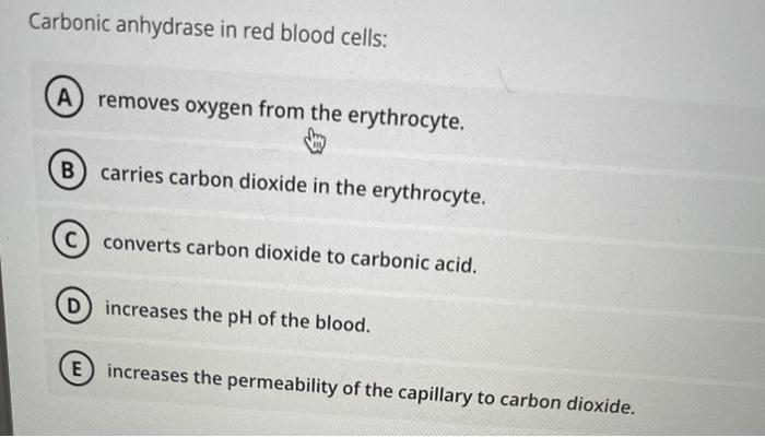 Solved Carbonic anhydrase in red blood cells: A removes | Chegg.com