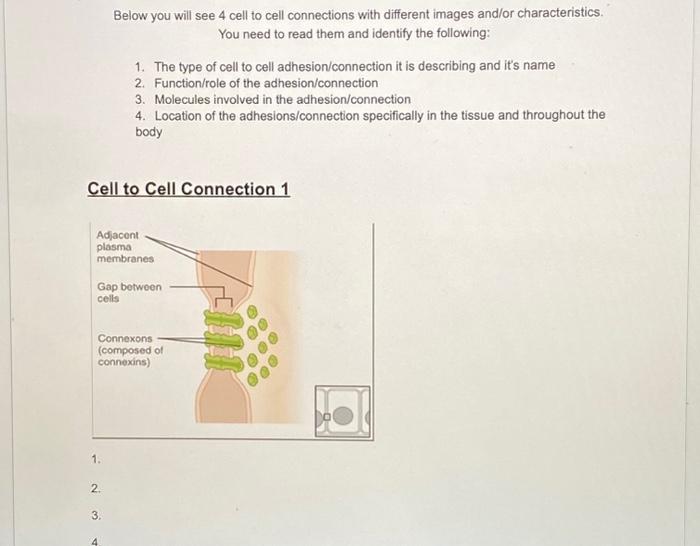 Solved Below you will see 4 cell to cell connections with | Chegg.com