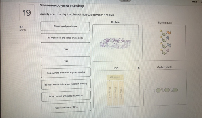 Solved Helps Monomer-polymer matchup 19 Classify each item | Chegg.com