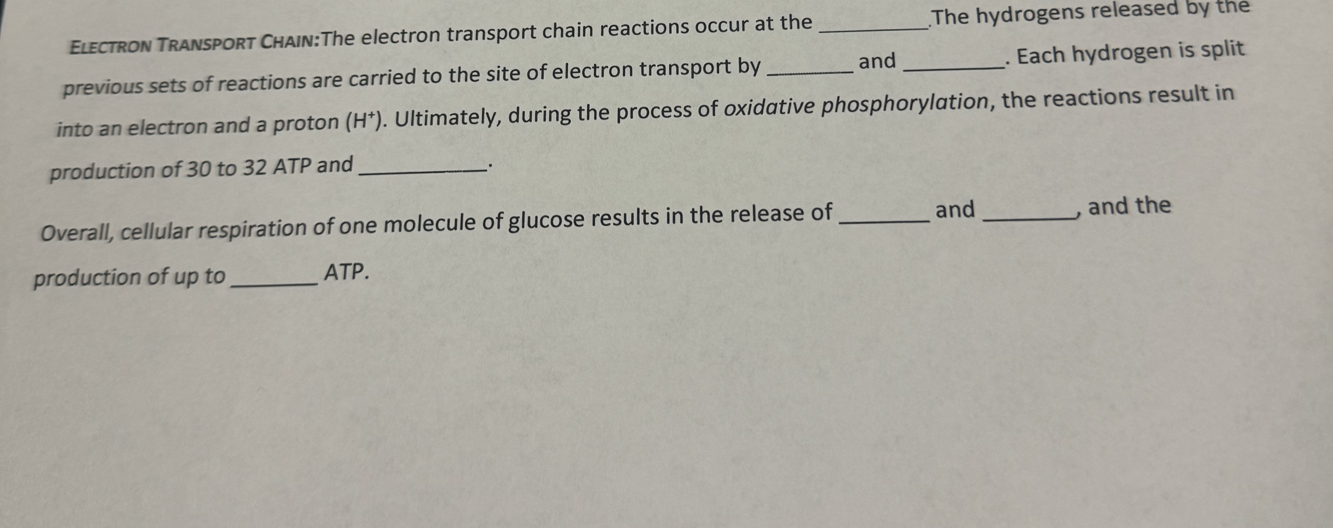 Solved ELECTRON TRANSPORT CHAIN:The electron transport chain | Chegg.com