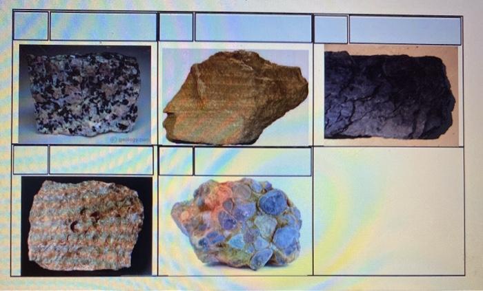 Solved type the name of the protolit (parent rock) in the | Chegg.com