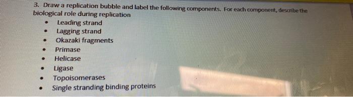 Solved 3. Draw a replication bubble and label the following | Chegg.com