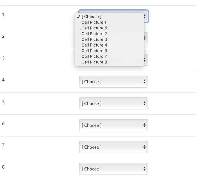 Solved Number of Chromosomes in Human Cell at Difference | Chegg.com