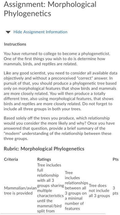 Solved Assignment: Morphological Phylogenetics Hide | Chegg.com