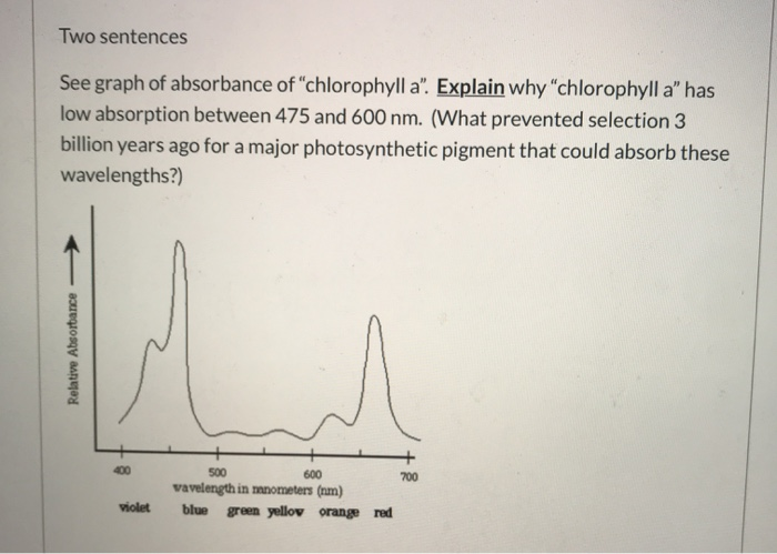 Solved Two sentences See graph of absorbance of "chlorophyll | Chegg.com