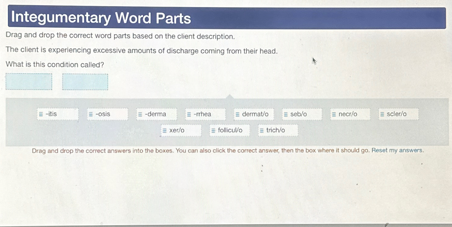 Solved Integumentary Word PartsDrag and drop the correct | Chegg.com