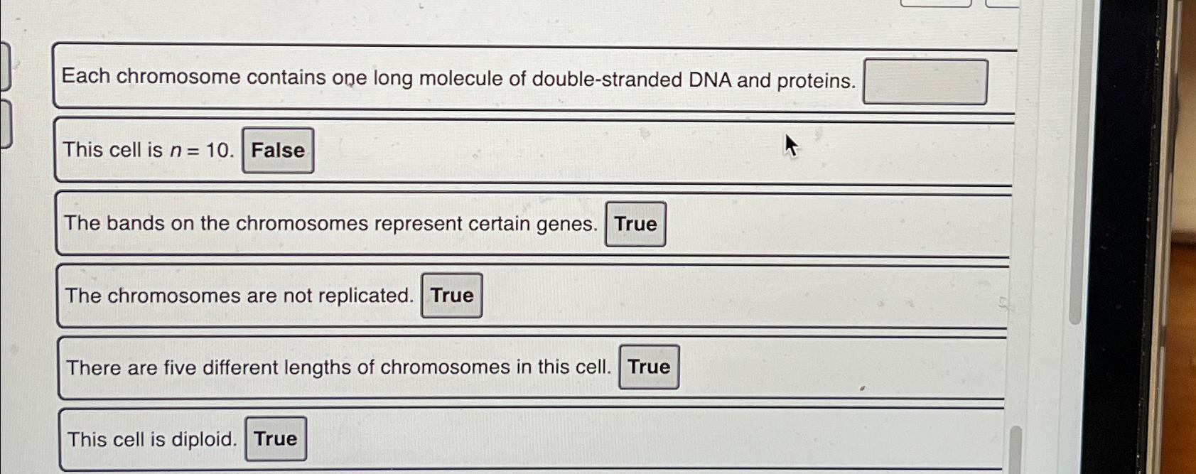 Solved Each chromosome contains one long molecule of | Chegg.com