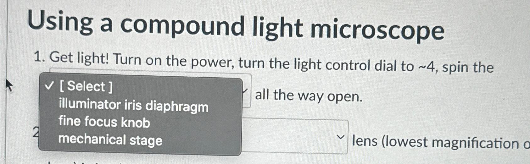 Solved Using a compound light microscopeGet light! Turn on | Chegg.com