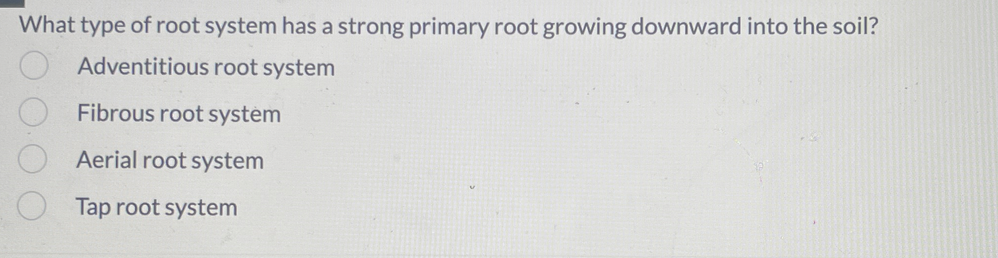 Solved What type of root system has a strong primary root | Chegg.com