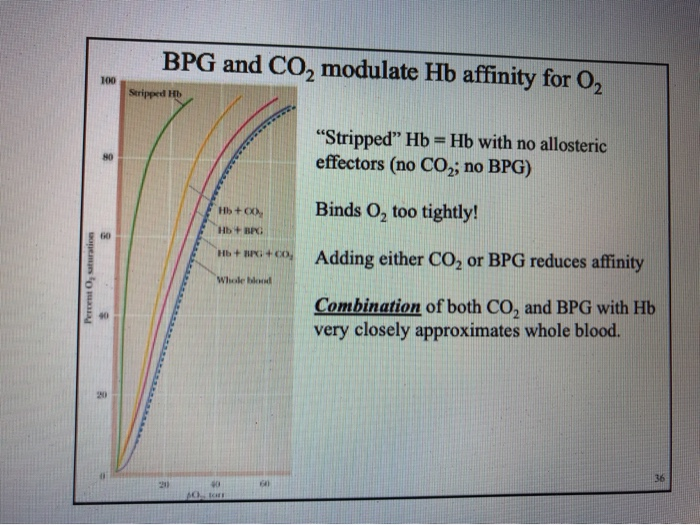 Solved 2,3-bisphosphoglycerate (BPG). Refer to your notes to | Chegg.com