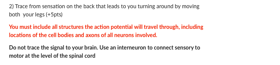 Solved Trace from sensation on the back that leads to you | Chegg.com