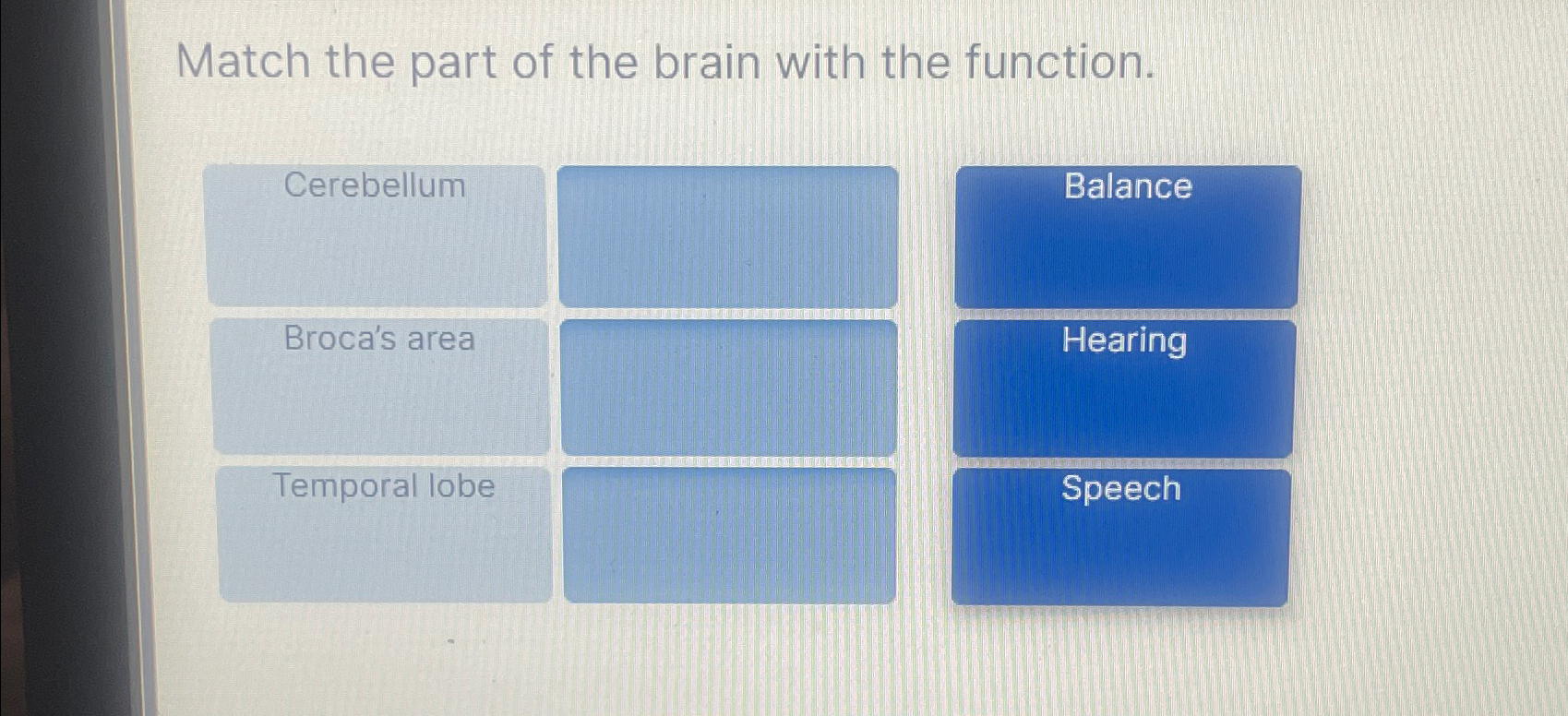 Solved Match the part of the brain with the function. | Chegg.com