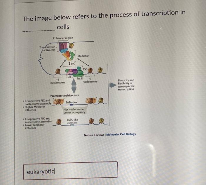 Solved The image below refers to the process of | Chegg.com