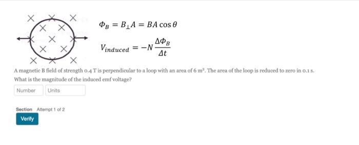 Solved ΦB=B⊥A=BAcosθVinduced =−NΔtΔΦB A magnetic B field of | Chegg.com